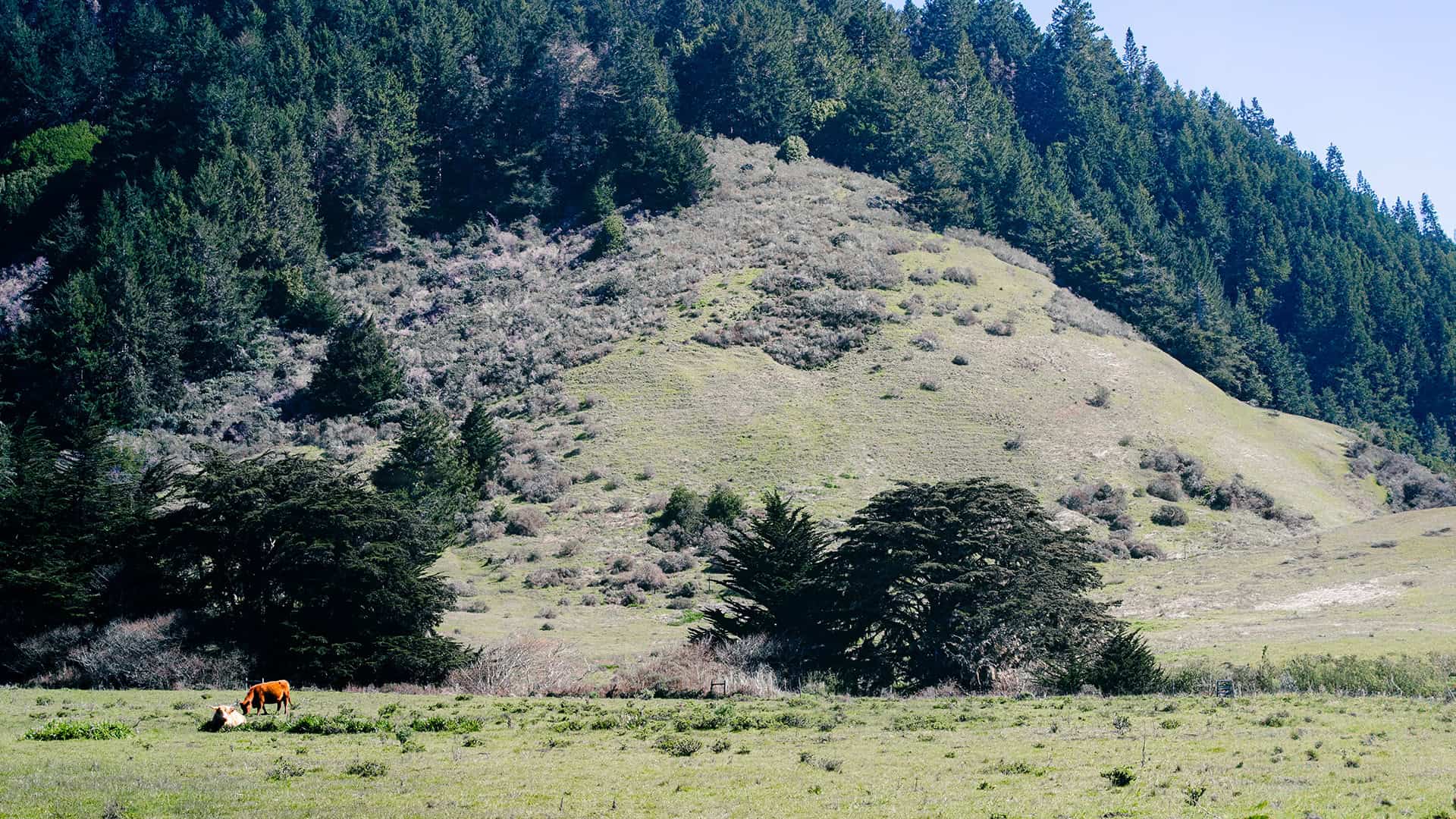 Elk CA Community Resources | Sacred Rock Inn